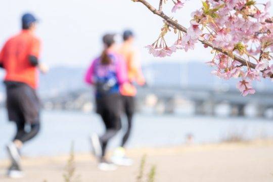 Running in Tokyo - Best routes you can take in Japan - Expat Life Japan ...